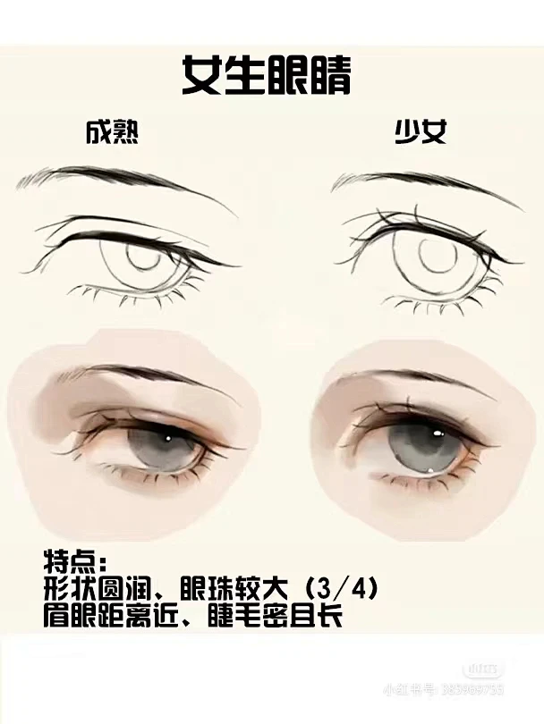 眼睛画法-花瓣网