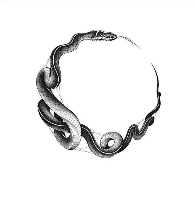 This may contain: a black and white drawing of a snake in the shape of ...