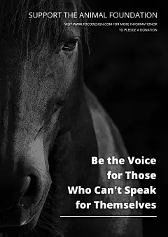 Animal Support Foundation Propagating Poster素材-花瓣网