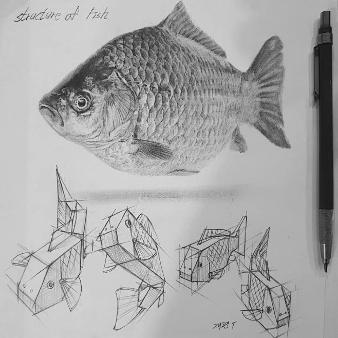 anjjaemi 静物素描