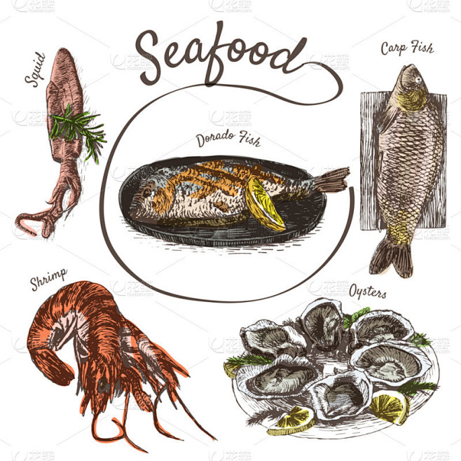 矢量插图彩色设置与海鲜