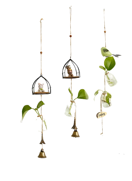 图层_8-removebg-preview(1)-花瓣网