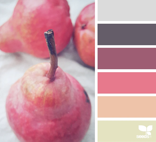 Edible Hues Archives | Page 13 of 30 | Design Seeds-花瓣网