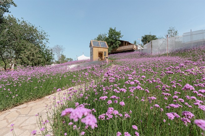 檀谷TANKO·慢闪公园：山谷里的自然慢生活 / 顺景园林 – mooool木藕设计网