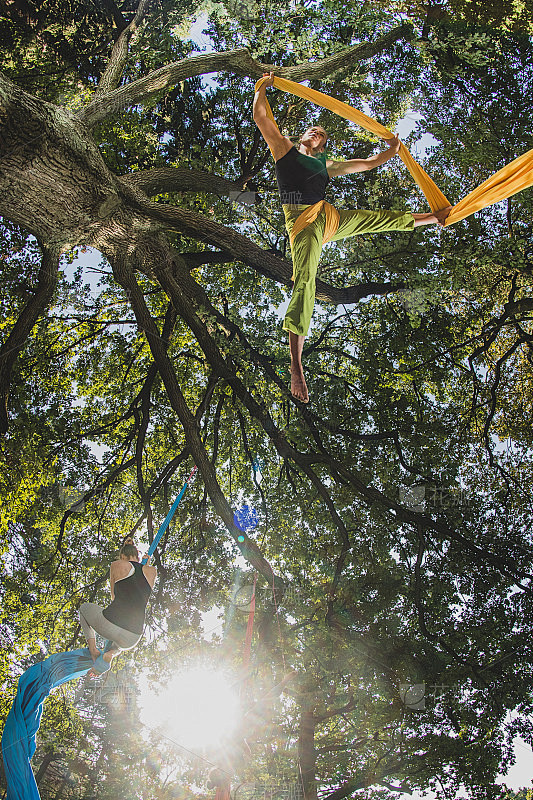Aerial silk artist performing in sunny nature.