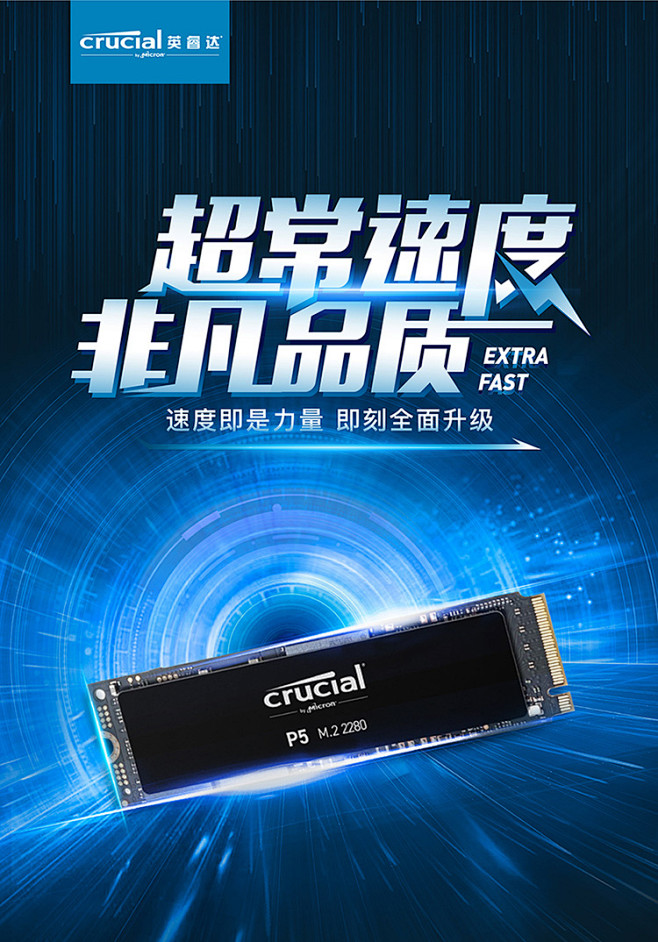 美光英睿达（Crucial）P5 1TB 2TB 500G M.2接口(NVMe协议)SSD固态硬盘 【1TB】P5 NVMe M.2【图片 ...