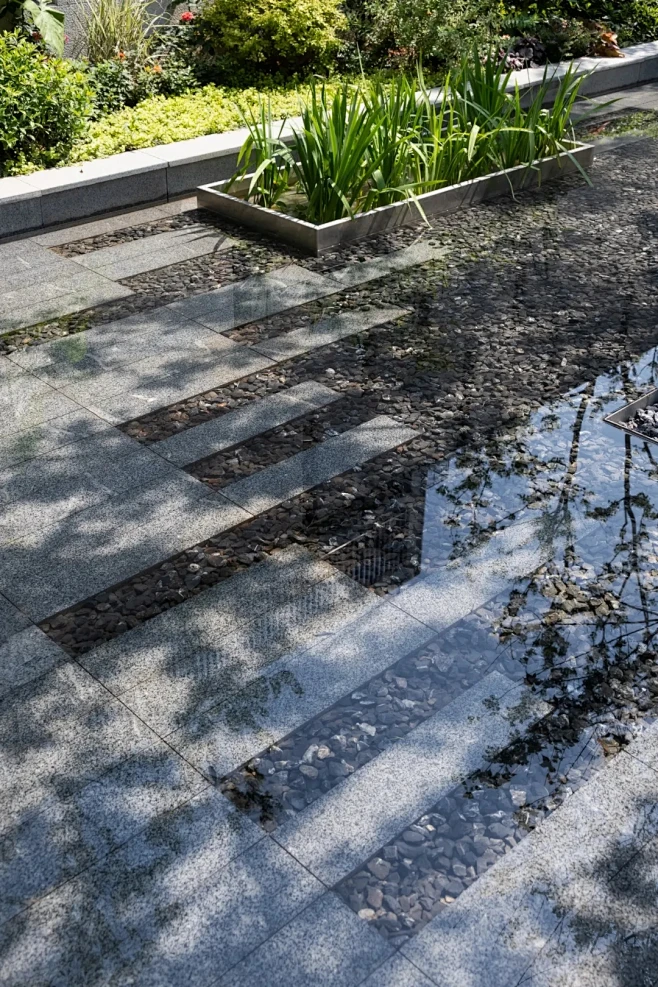 640.webp (4).jpg-花瓣网