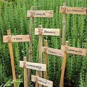 DNF的搜索结果_百度图片搜索