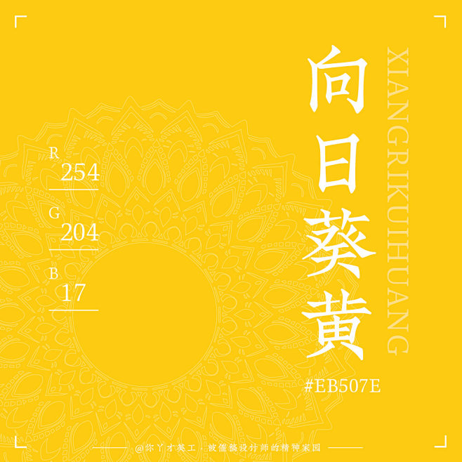 Yellow-color-card-20221111-3
