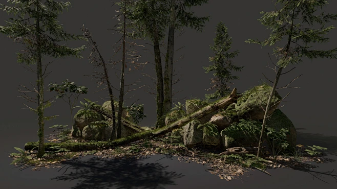 Mossy Cedrus Forest - 3D Models-花瓣网