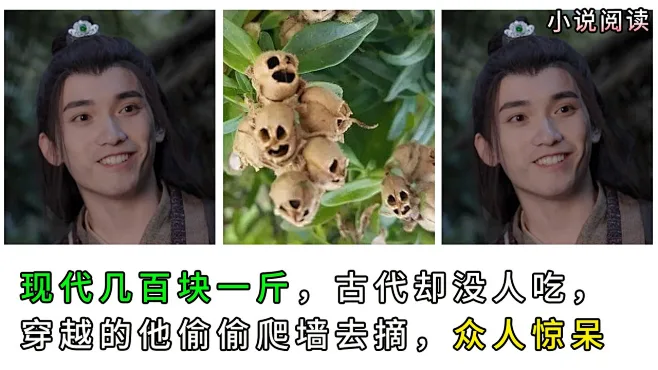 男-历史-大图-无-26LSQ-1223 (1)-花瓣网