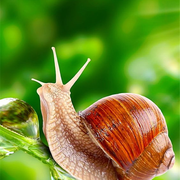 Jack 2014 UI班(Game UI、Interface、icon、logo、GUI、art、designer 、iOS、UE、游戏UI）