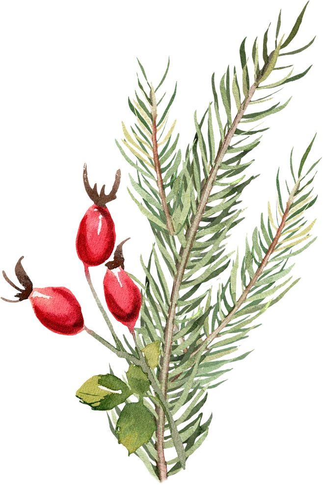 4cc21593-7f40-4e10-b713-7e8e8c3718ae-花瓣网