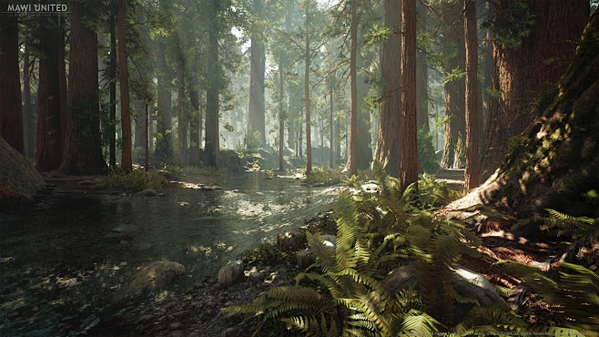 UE4 Redwood Forest V2, Willi Hammes : Updated version of the procedural ...