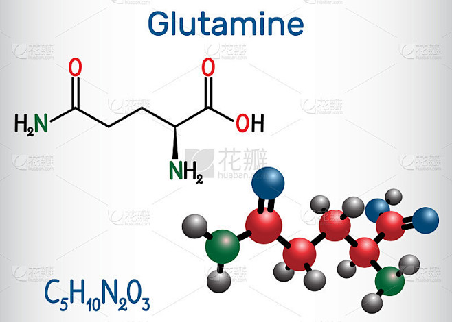 Glutamine (Gln , Q) amino acid molecule. Structur