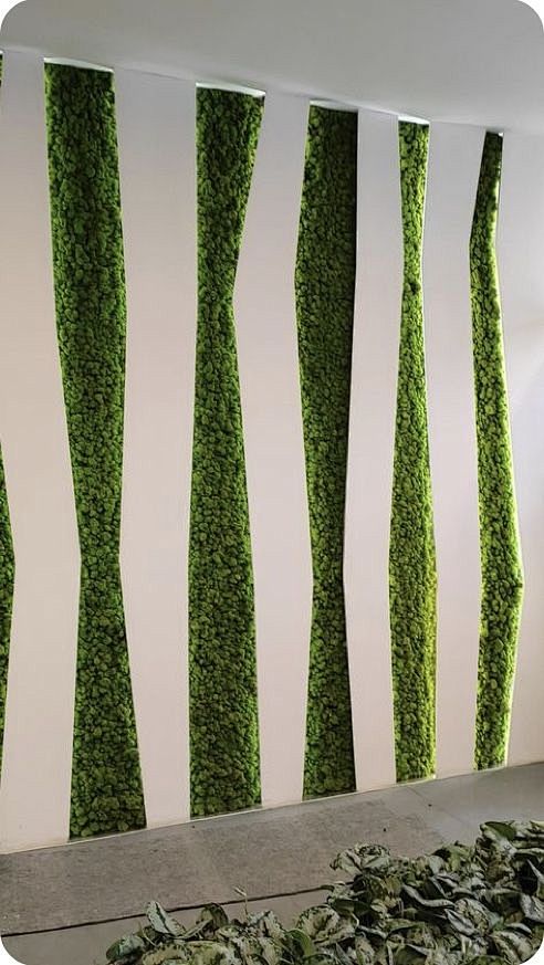 (31) Pinterest_5441491503