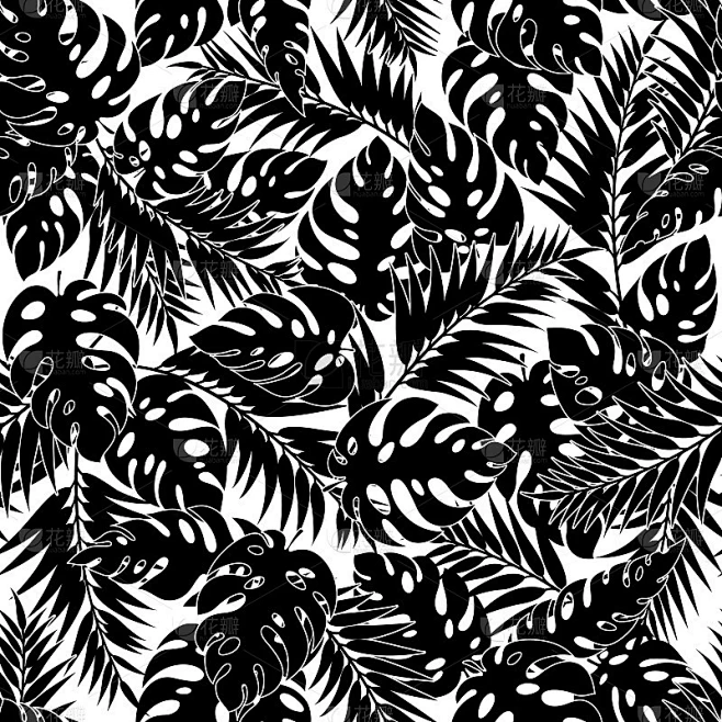 Tropical plant illustration pattern,图片_其他图片图片素材-花瓣网