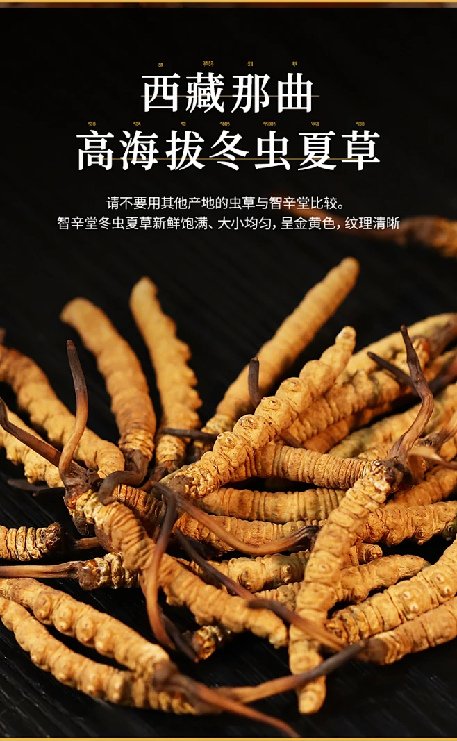 西藏那曲特产正宗冬虫夏草正品虫草干货10克装头期礼盒50根礼品-tmall.com天猫-花瓣网
