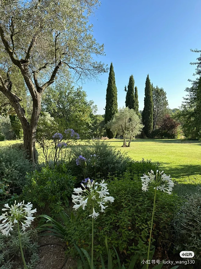 Camera_XHS_17210350128261040g00830npvqd020o3g48eu2cq7l3f8qororv0-花瓣网