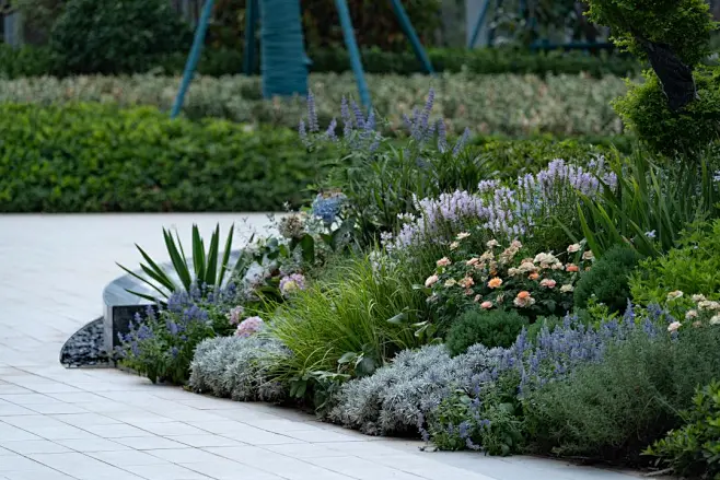 640 (1080×720)-花瓣网