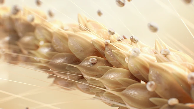 SPAS TV channel ID-花瓣网