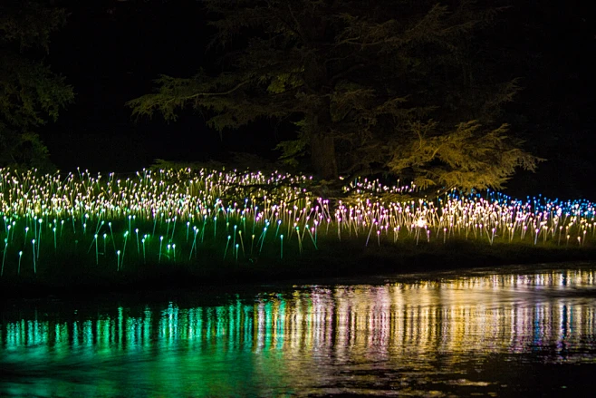 【美图分享】Brian Estelle的作品《Fiber Optic Field》 #500px# #灯光装置#-花瓣网