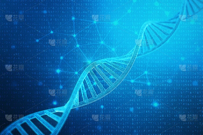 人工智能DNA分子。DNA被转换成二进制代码。概念二进制编码基因组。抽象技术科学，概念人工Dna。3素材-花瓣网