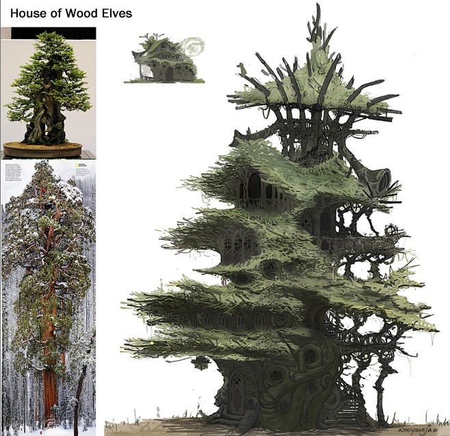 植物原画树原画来自cgbook.cn (1935)