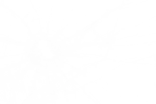 PNG碎裂玻璃 (1)-花瓣网