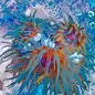 Cephalopod: planktonic octopus paralarva.-花瓣网