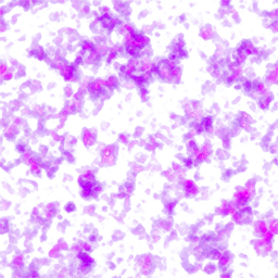 Eff_T_wenli -花瓣网