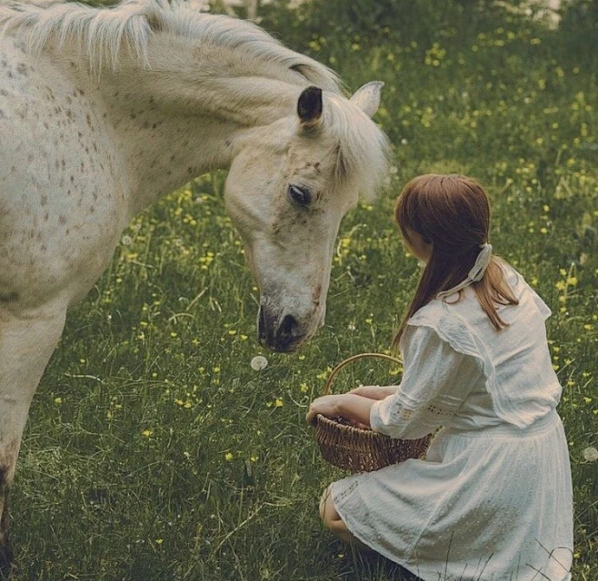 花瓣灵感详情页-花瓣网