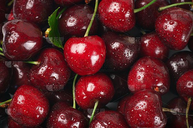 湿樱桃特写