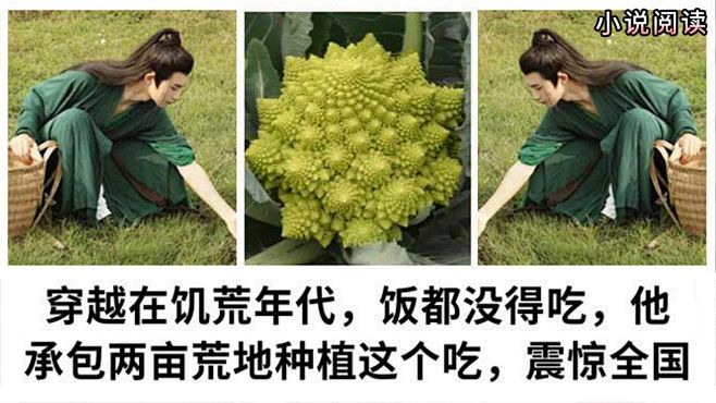 男-历史-大图-无-26LSQ-1114 (4)