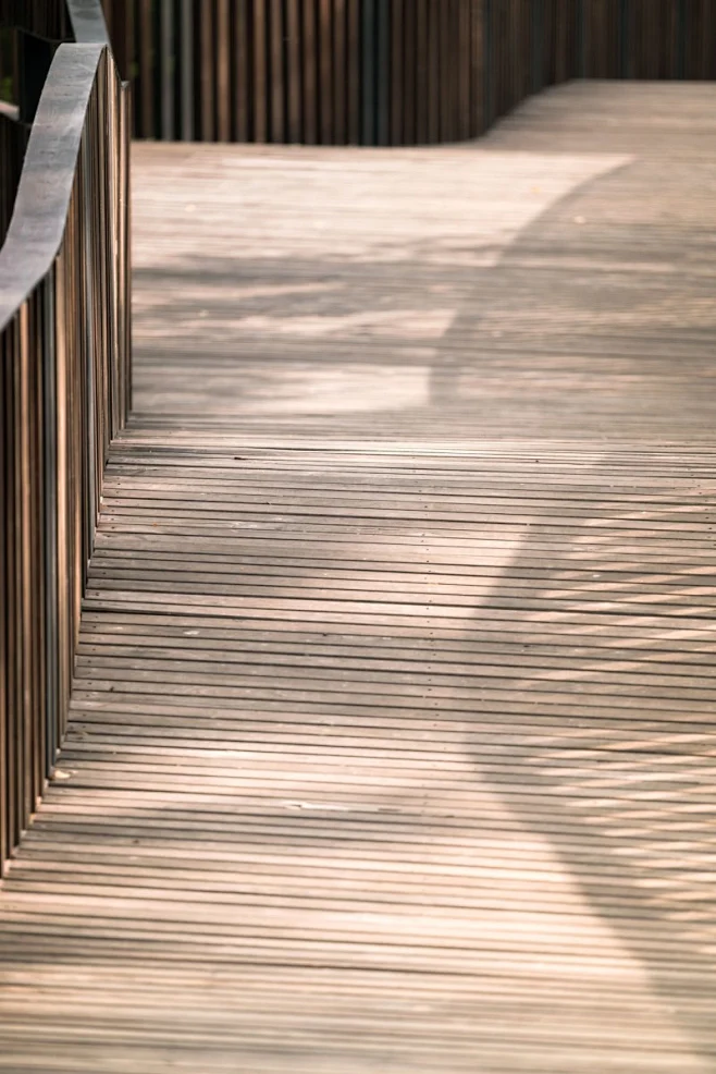 Bird Wave Bridge by Shma : Bird Wave Bridge Landscape Architects » Shma ...