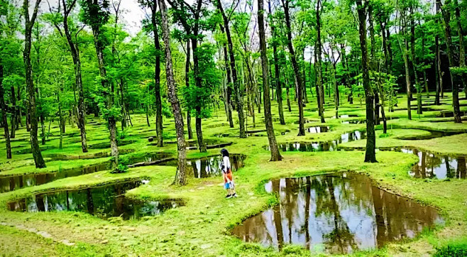 src=http___ci.xiaohongshu.com_5acc48ba-73da-3483-b705-0ad2f931cf7c_imageView2_2_w_1080_format ...