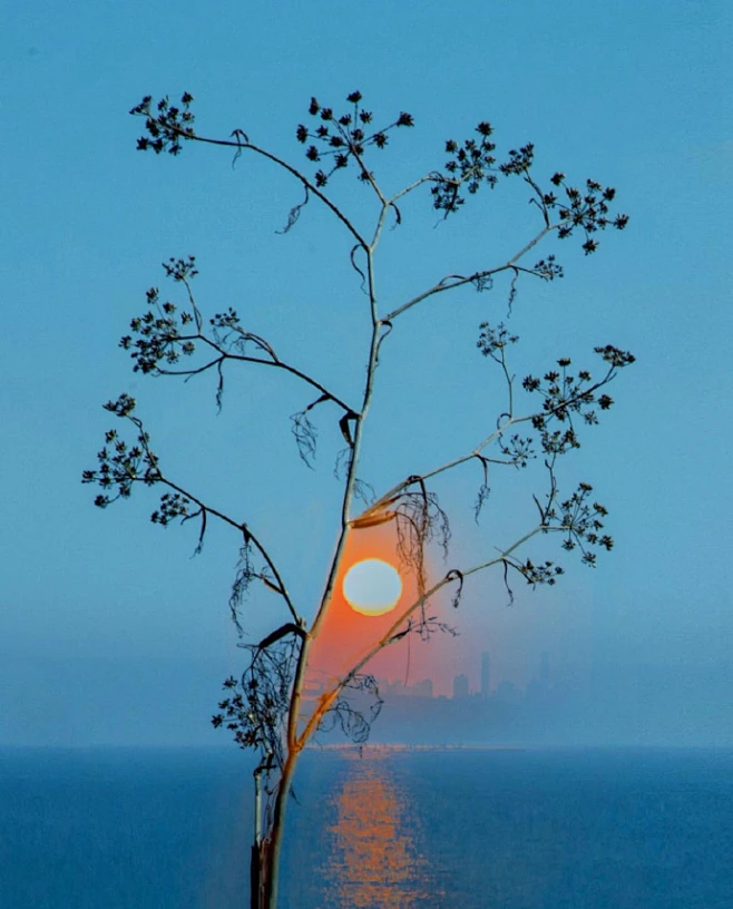 . KangHee Kim -花瓣网