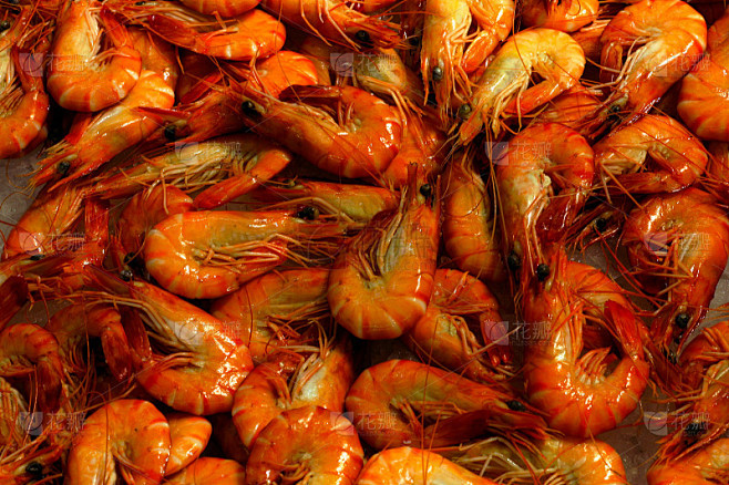 crevettes