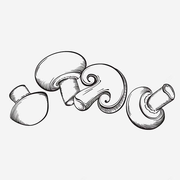 手绘香菇ai免抠素材_新图网 https://ixintu.com 香菇 手绘 矢量香菇