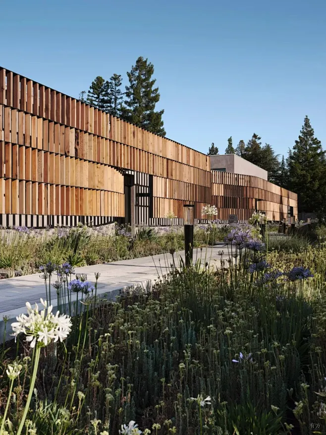 摄影：Joe Fletcher-花瓣网