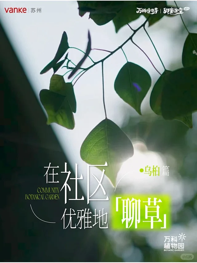 植愈 自然 - 小红书搜索-花瓣网