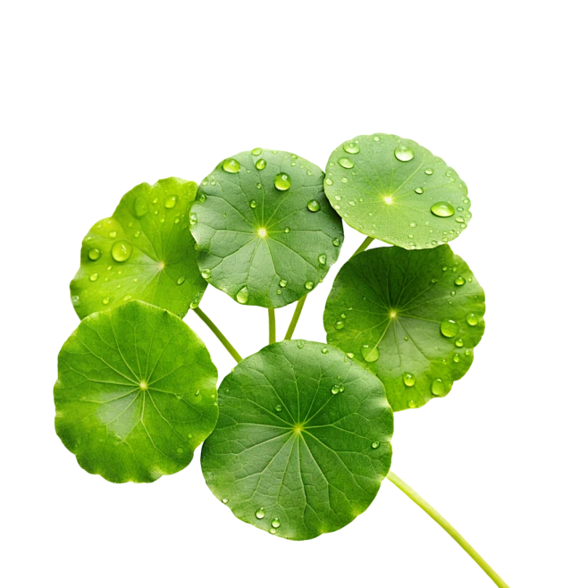 ee5016fb-0e2c-43a6-bf86-a4b3950ba149-花瓣网