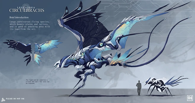 alien bird-花瓣网