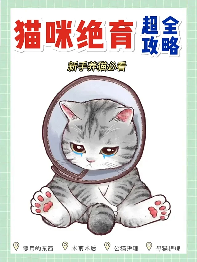 猫咪绝育后注意事项 - 小红书搜索-花瓣网