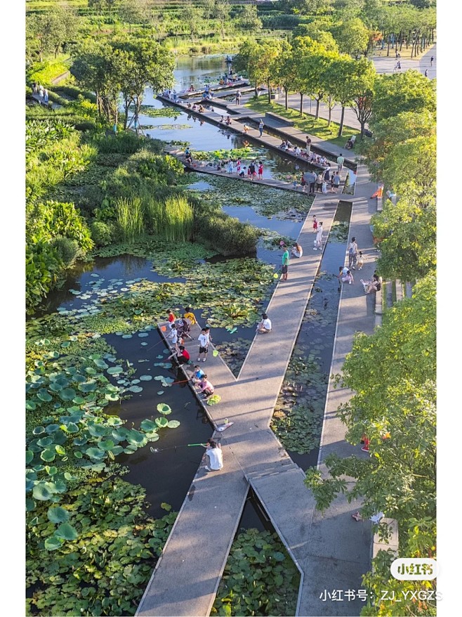 IMG_0931(20221024-142706)