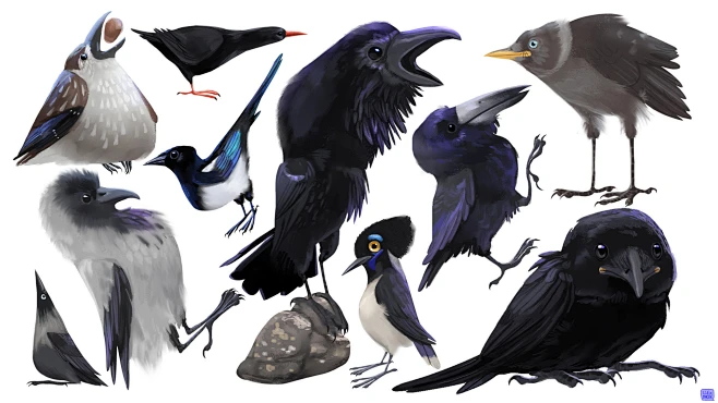Corvids, Lidia Macov-花瓣网