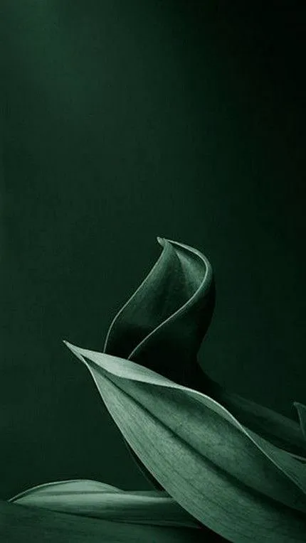 (892) Pinterest-花瓣网