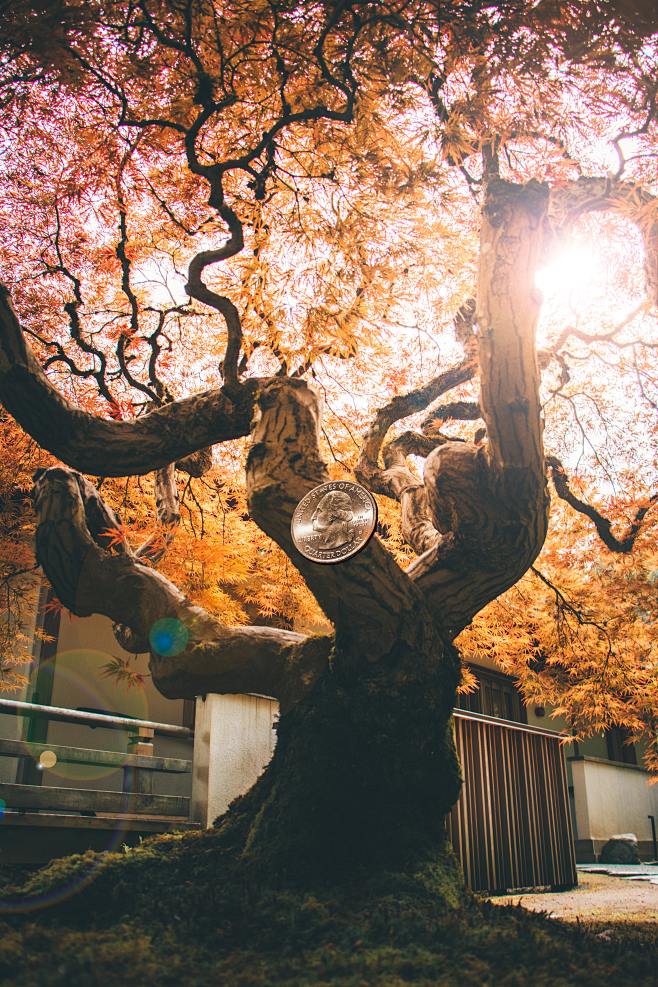 jaredd-craig-sWanOniHYR8-unsplash