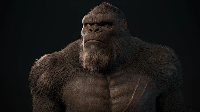 Kong - Godzilla vs Kong Update-花瓣网