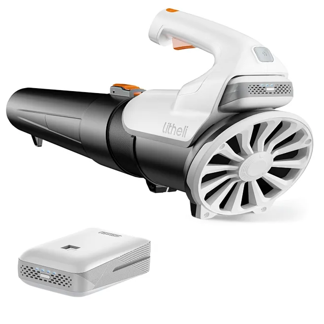 Amazon.com: Litheli 20V Cordless Leaf Blower Battery Powered Leaf ...